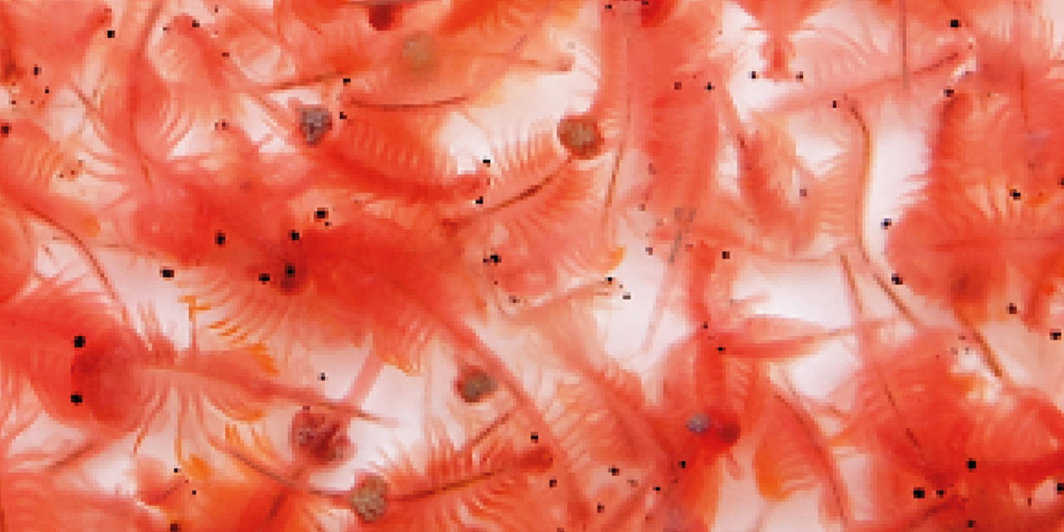 Tamaño de los nauplios y huevos de Artemia