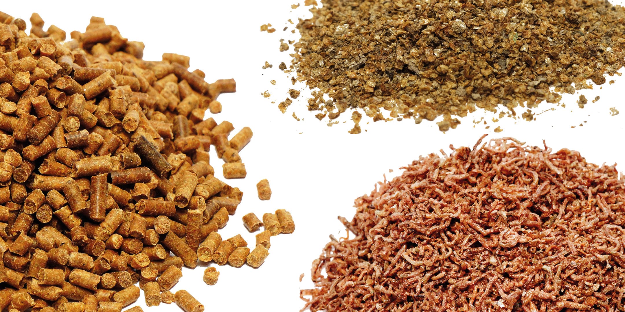 Nourriture pour poissons d'aquarium et de bassin | Naturel et riche en ...